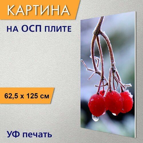 Вертикальная картина на ОСП "Красные ягоды, ветка, мороз" 62x125 см. для интерьериа