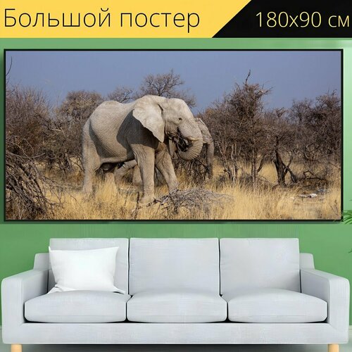 Большой постер "Слон, ботсвана, сафари" 180 x 90 см. для интерьера