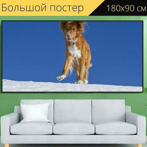 Большой постер "Собака, зима, животное" 180 x 90 см. для интерьера