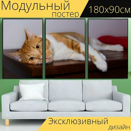 Модульный постер "Кот, похмелье, вранье" 180 x 90 см. для интерьера