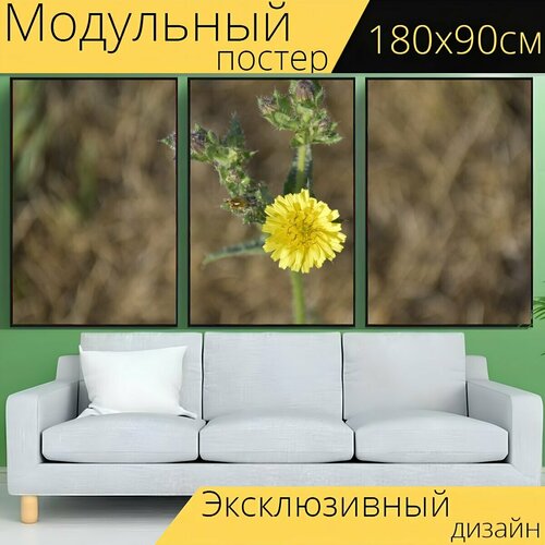 Модульный постер "Цветок, полевые цветы, цветок желтого цвета" 180 x 90 см. для интерьера