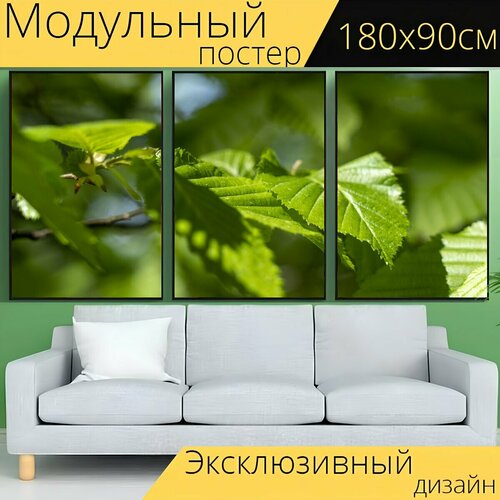 Модульный постер "Листья, лес, зеленый" 180 x 90 см. для интерьера
