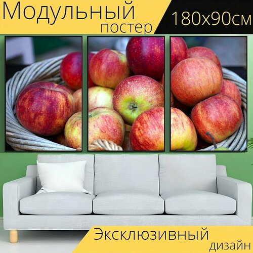 Модульный постер "Яблоки, корзина, корзина яблок" 180 x 90 см. для интерьера