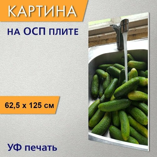 Вертикальная картина на ОСП "Огурец, летом, овощи" 62x125 см. для интерьериа