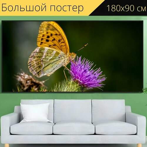 Большой постер "Серебристая рябина, бабочка, насекомое" 180 x 90 см. для интерьера