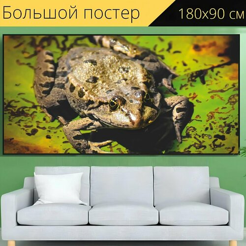 Большой постер "Лягушка, пруд, животное" 180 x 90 см. для интерьера