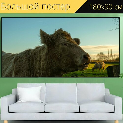 Большой постер "Корова, луг, коровы" 180 x 90 см. для интерьера