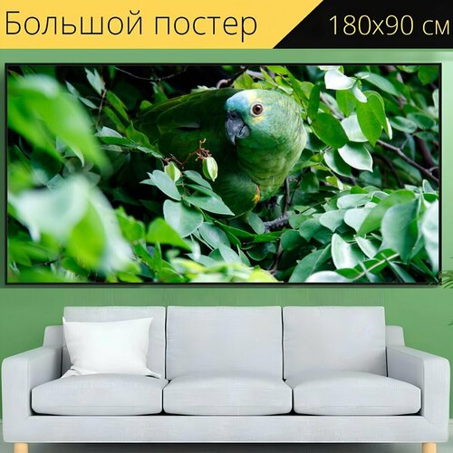 Большой постер "Зеленый, попугай, листья" 180 x 90 см. для интерьера
