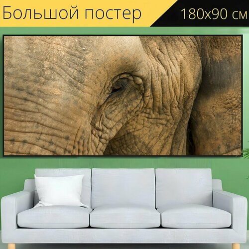 Большой постер "Слон, сафари, природа" 180 x 90 см. для интерьера