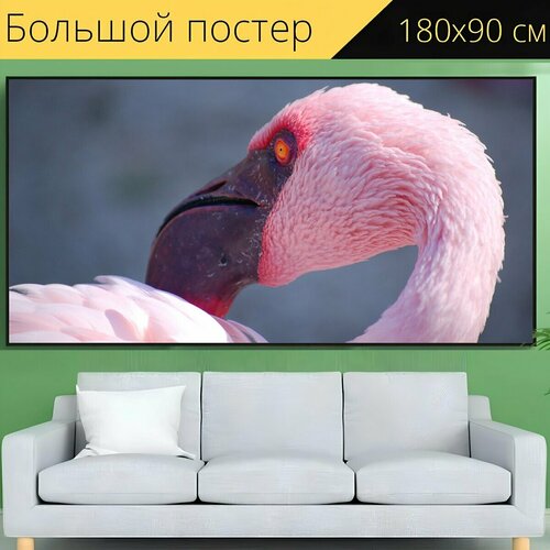 Большой постер "Фламинго, зоопарк, птица" 180 x 90 см. для интерьера
