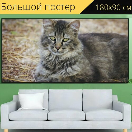 Большой постер "Кошка, животное, природа" 180 x 90 см. для интерьера