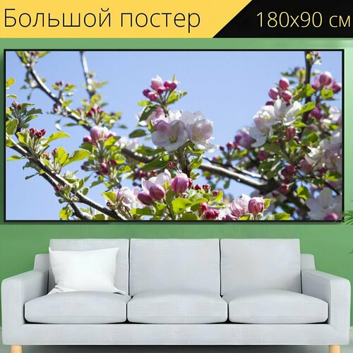 Большой постер "Яблоня, цвести, весна" 180 x 90 см. для интерьера