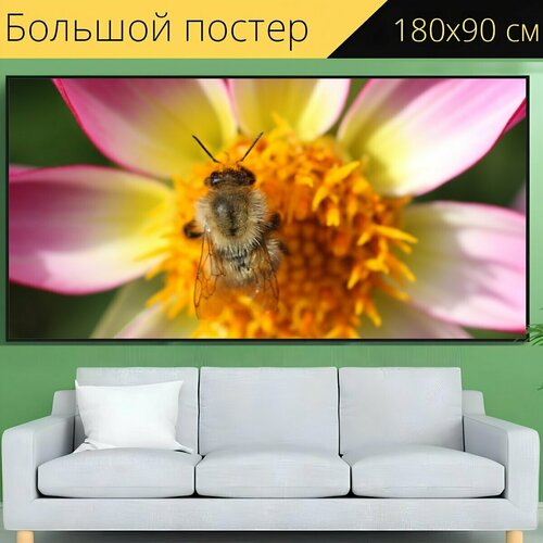 Большой постер "Пчела, насекомое, природа" 180 x 90 см. для интерьера