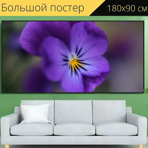 Большой постер "Анютины глазки, цветок, фиолетовый цветок" 180 x 90 см. для интерьера