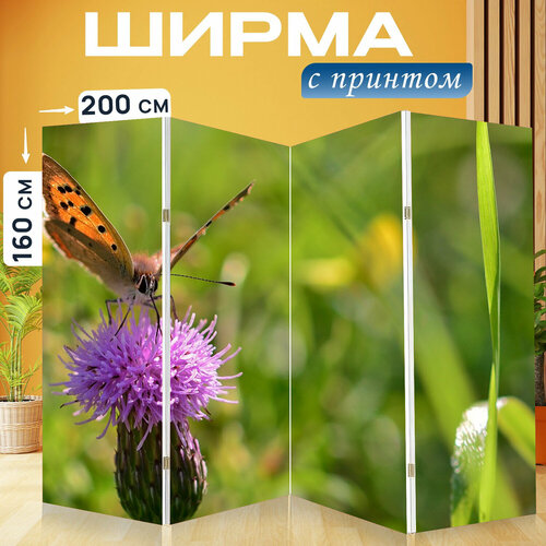 Ширма перегородка с принтом "Природа, бабочка, луг" на холсте - 200x160 см. для зонирования, раскладная