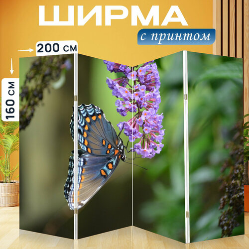 Ширма перегородка с принтом "Бабочка, природа, насекомое" на холсте - 200x160 см. для зонирования, раскладная
