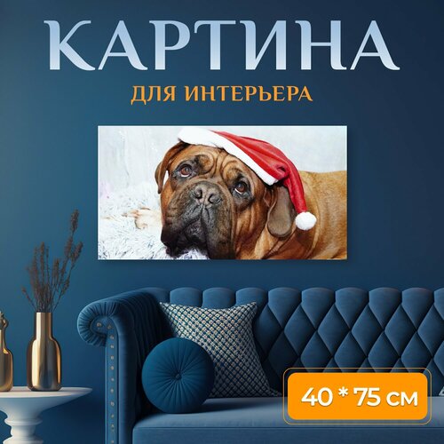 Картина на холсте "Животное, бордо, собачий" на подрамнике 75х40 см. для интерьера