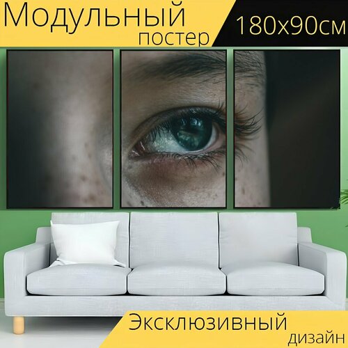 Модульный постер "Глаза, ресницы, брови" 180 x 90 см. для интерьера