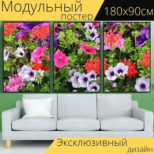 Модульный постер "Красочные цветы, герань, петунии" 180 x 90 см. для интерьера