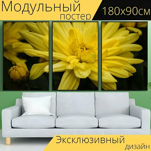 Модульный постер "Хризантема, жёлтый, цветок" 180 x 90 см. для интерьера