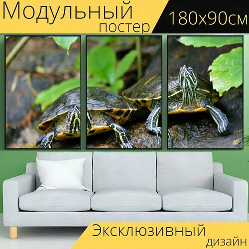 Модульный постер "Черепахи, природа, дикая природа" 180 x 90 см. для интерьера