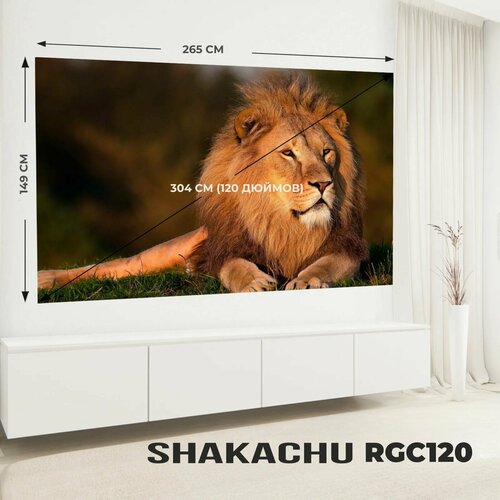 Shakachu RGC120, светоотражающий рулонный экран для проектора, 120”, серый, 16:9