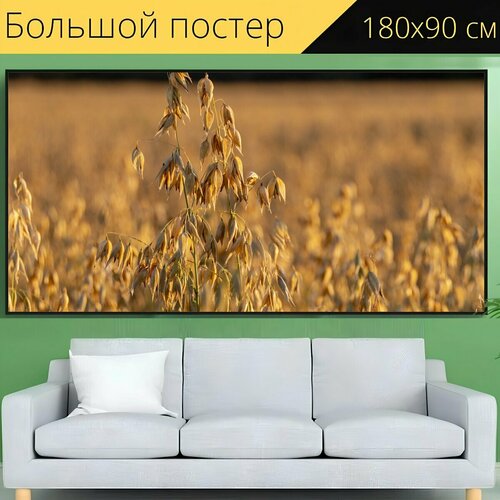 Большой постер "Кукуруза, овес, поле" 180 x 90 см. для интерьера