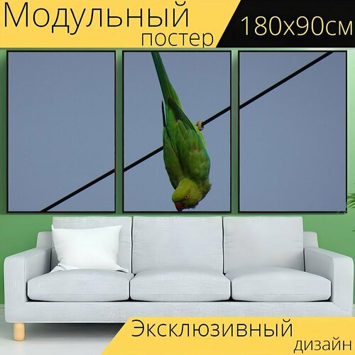 Модульный постер "Птица, попугай, зеленая птица" 180 x 90 см. для интерьера