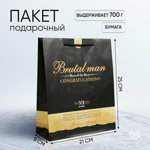 Пакет ламинированный Best of the best, ML 23 х 27 х 8 см