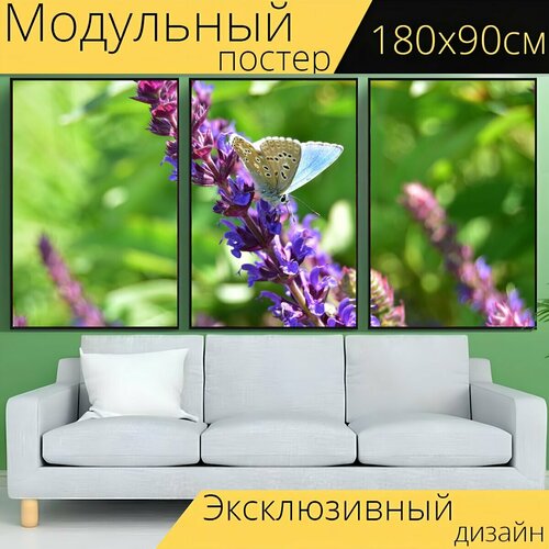 Модульный постер "Бабочка, нектар, цветок" 180 x 90 см. для интерьера