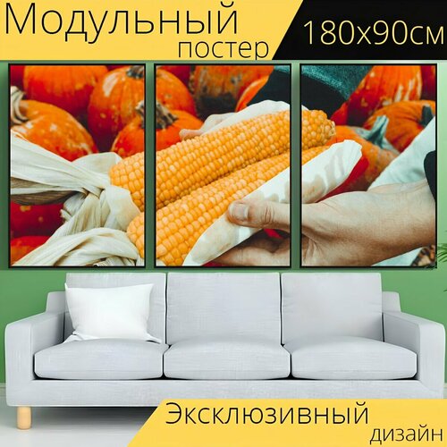Модульный постер "Кукуруза, уборка урожая, ферма" 180 x 90 см. для интерьера
