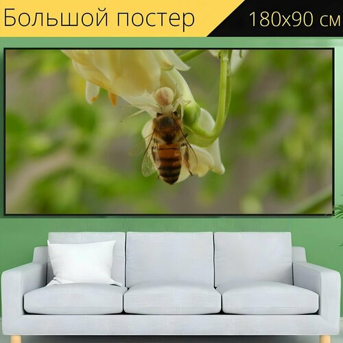 Большой постер "Пчела, насекомые, природа" 180 x 90 см. для интерьера