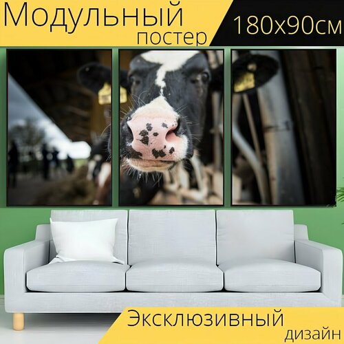 Модульный постер "Крупный рогатый скот, корова, говядина" 180 x 90 см. для интерьера