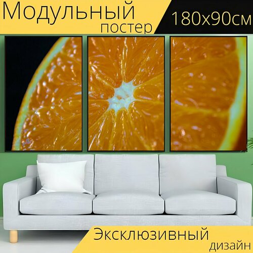 Модульный постер "Апельсин, фрукты, витамины" 180 x 90 см. для интерьера