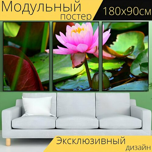 Модульный постер "Водяная лилия, цветок, водное растение" 180 x 90 см. для интерьера