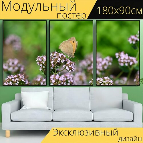 Модульный постер "Бабочка, насекомое, цветы" 180 x 90 см. для интерьера