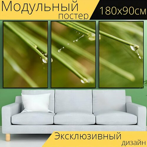Модульный постер "Капли дождя, влажность, листы" 180 x 90 см. для интерьера
