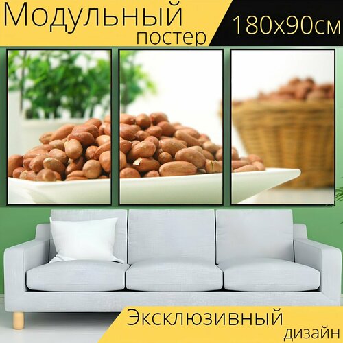 Модульный постер "Питание, арахис, орехи" 180 x 90 см. для интерьера
