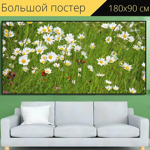 Большой постер "Травы, луговые цветы, цвести" 180 x 90 см. для интерьера