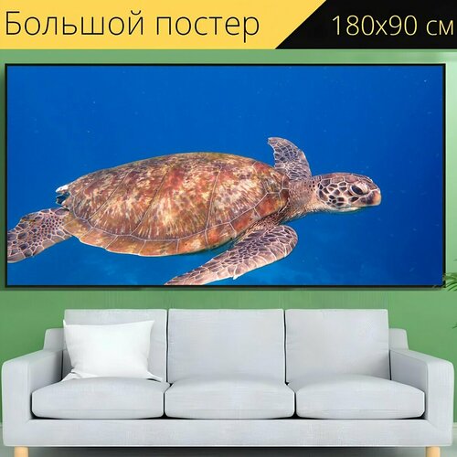 Большой постер "Черепаха, жизнь океана, океан" 180 x 90 см. для интерьера