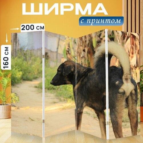 Ширма перегородка с принтом "Собака, камбоджа, азиатский" на холсте - 200x160 см. для зонирования, раскладная
