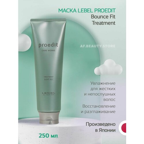 Lebel Proedit Soft Fit Маска увлажняющая для сухих/жестких волос 250мл