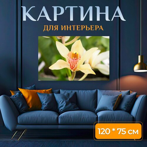 Картина на холсте "Цветок, цветы, орхидея" на подрамнике 120х75 см. для интерьера