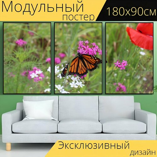Модульный постер "Бабочка, монарх, насекомое" 180 x 90 см. для интерьера