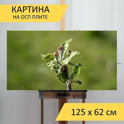 Картина на ОСП 125х62 см. "Почки, яблоня, банка" горизонтальная, для интерьера, с креплениями