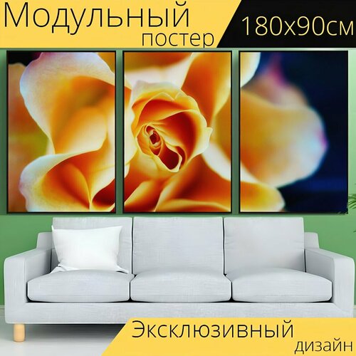 Модульный постер "Роза, апельсин, красота" 180 x 90 см. для интерьера