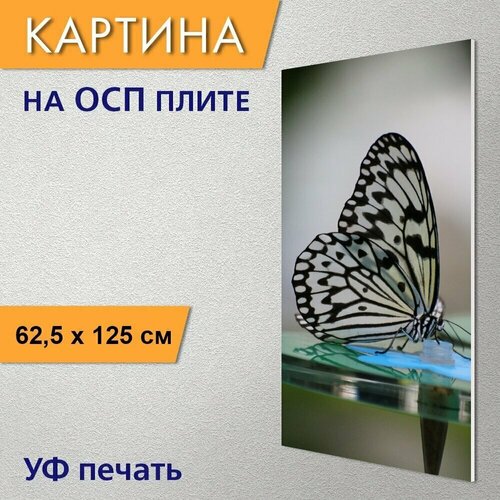 Вертикальная картина на ОСП "Бабочка, крупным планом, ошибка" 62x125 см. для интерьериа