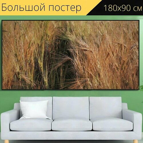 Большой постер "Пшеница, летом, колосья" 180 x 90 см. для интерьера