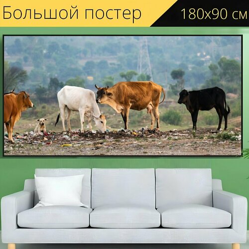 Большой постер "Коровы, крупный рогатый скот, плутать" 180 x 90 см. для интерьера