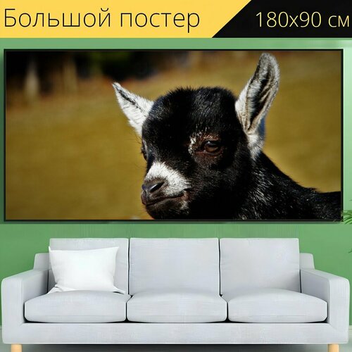 Большой постер "Козел, карликовая коза, миниатюрная коза" 180 x 90 см. для интерьера